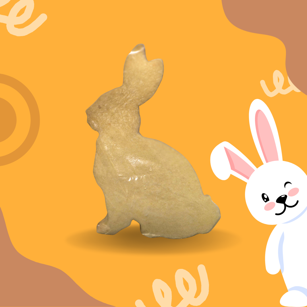 Classic Easter Bunny Cookie – The Cookie Project NZ